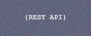 Was ist eine REST API? Der Schlüssel zu guter Systemintegration
