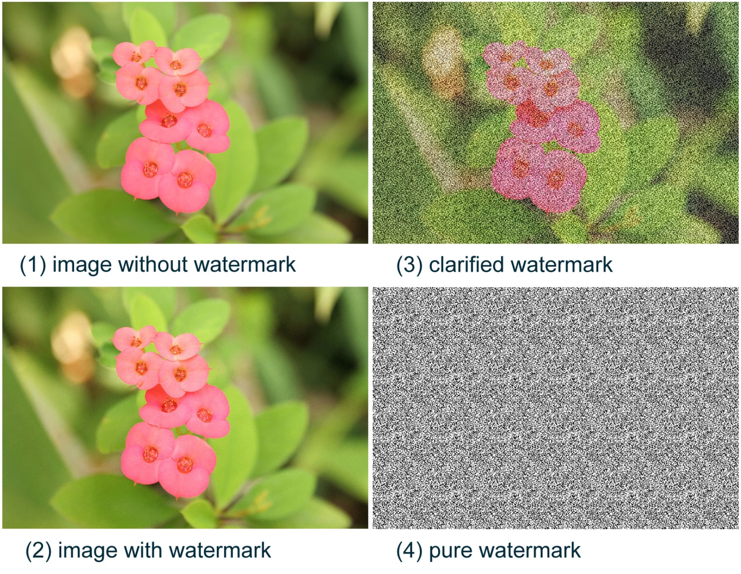 What is DRM? Why digital rights management is so important